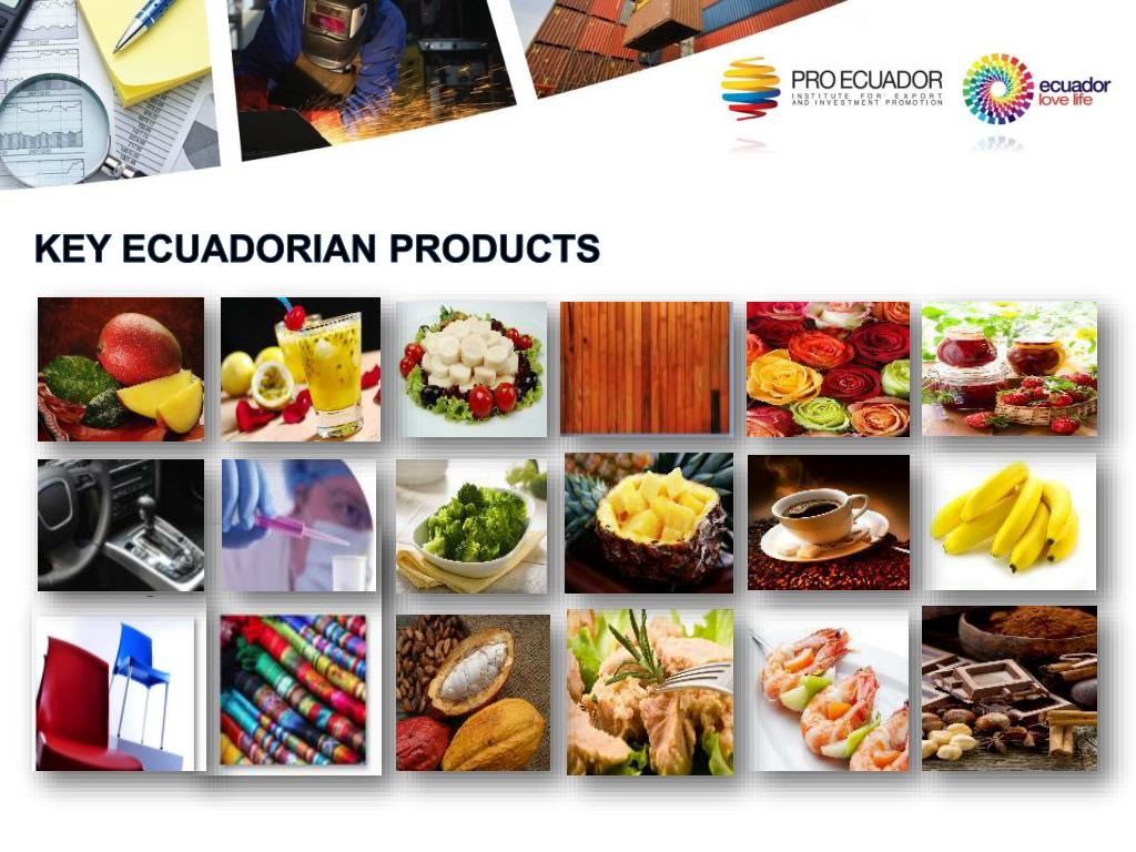 PPT - Name: Republic of Ecuador Government type: Democracy Capital ...