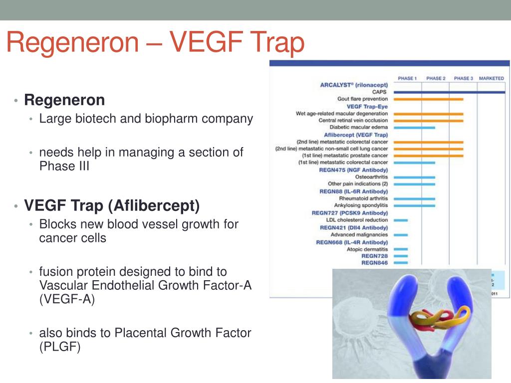 PPT - Project Management: VEGF Trap Clinical trials PowerPoint ...