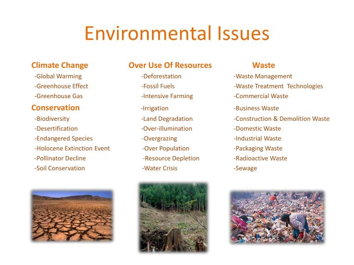 PPT - Can Art Help Save the Environment? PowerPoint Presentation - ID ...