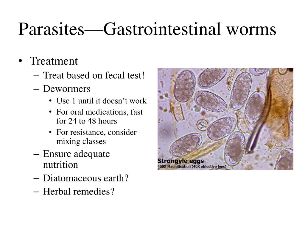 PPT - Dr. Brian Dietrich & Dr. Claire Varney Abiqua Animal Clinic ...