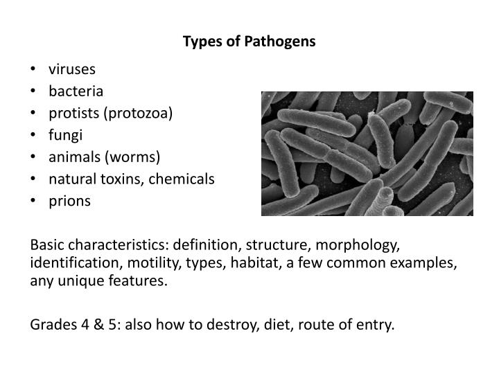 PPT - DISEASE DETECTIVES PowerPoint Presentation - ID:1538030