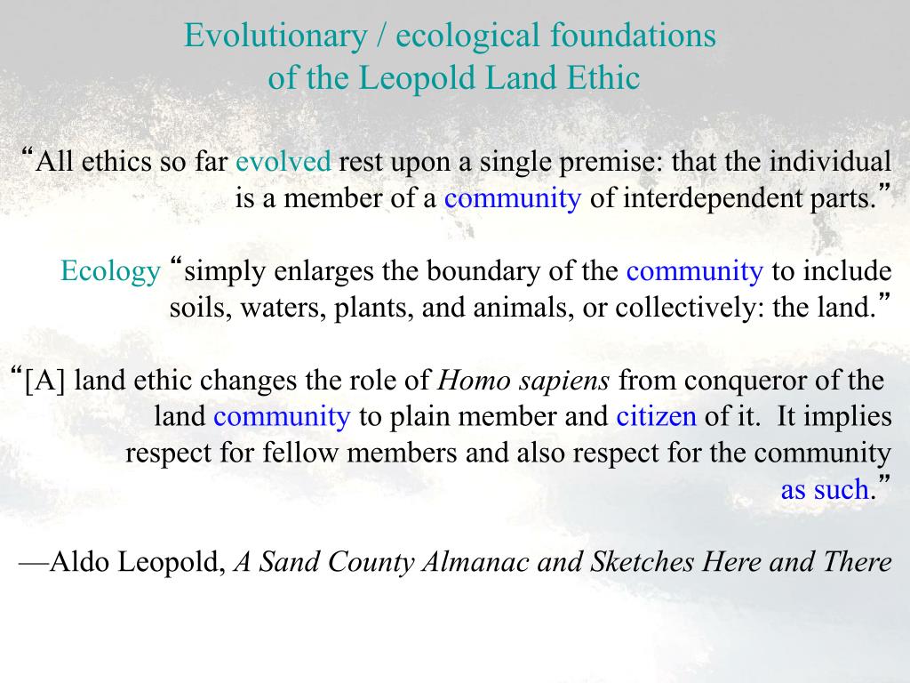 PPT - From the Land Ethic to the Earth Ethic: Environmental Ethics in a ...