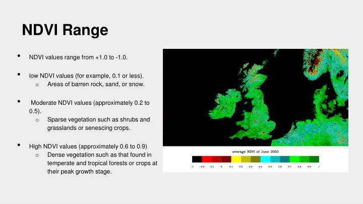 PPT - Vegetation PowerPoint Presentation - ID:1538383