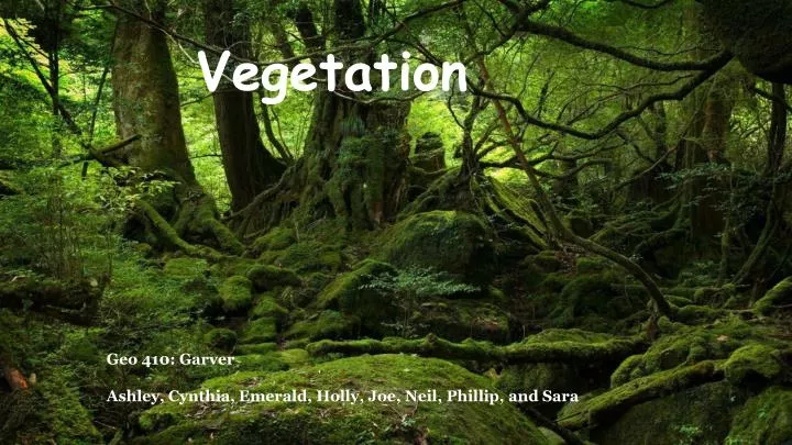 PPT - Vegetation PowerPoint Presentation, free download - ID:1538383