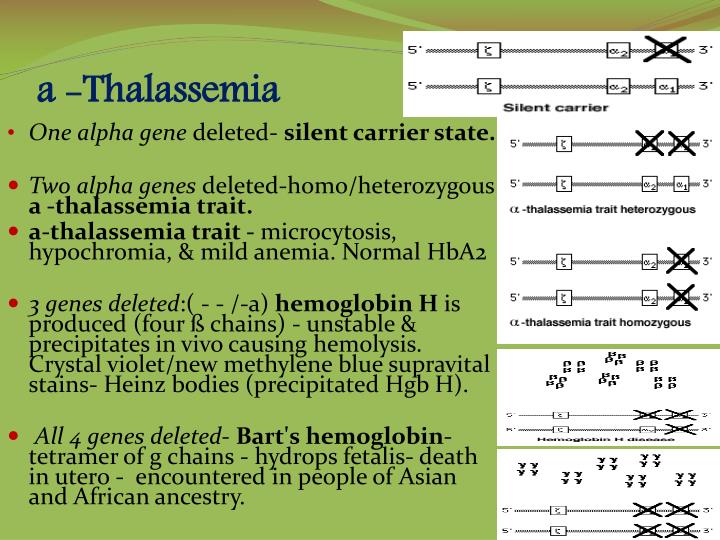 PPT - Hematological disorders in pregnancy PowerPoint Presentation - ID ...