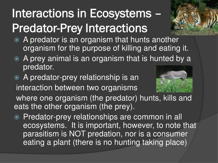 PPT - UNIT D: CHANGES IN Living Systems PowerPoint Presentation - ID ...