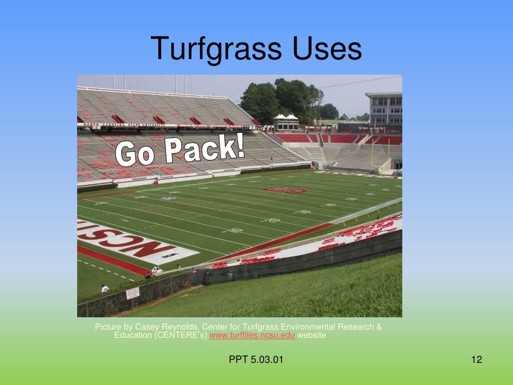PPT - Picture by Casey Reynolds, Center for Turfgrass Environmental ...