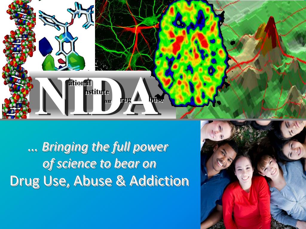 PPT - Overview of NIDA Funding Opportunities and Grant Funding Tips ...