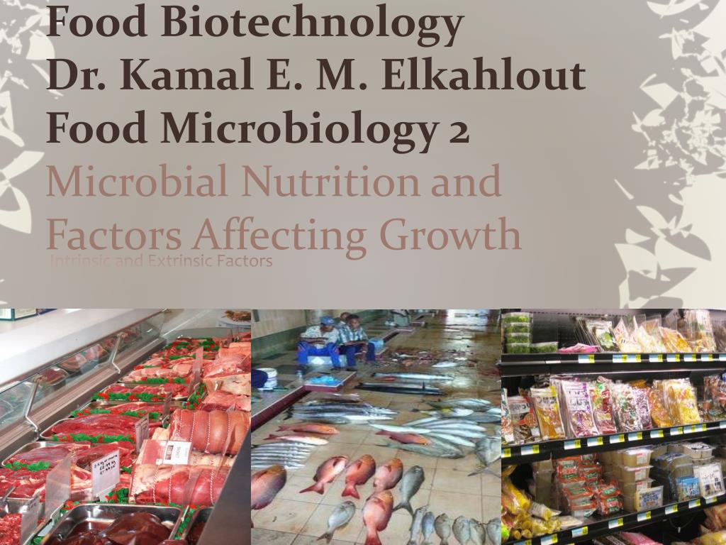 PPT - Food Biotechnology Dr. Kamal E. M. Elkahlout Food Microbiology 2 ...