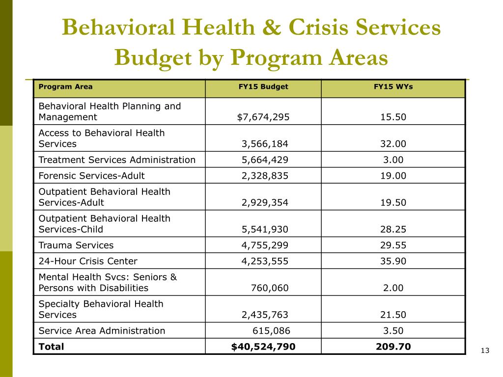PPT - Department of Health and Human Services FY15 Budget Forum ...
