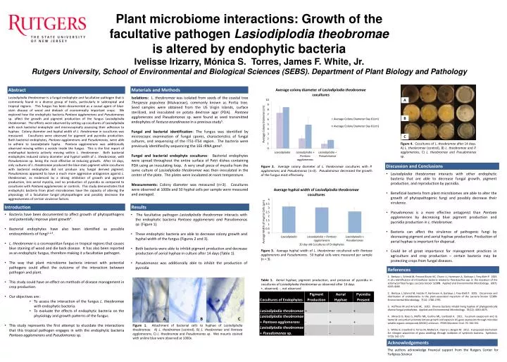 PPT - Plant microbiome interactions: Growth of the facultative pathogen ...
