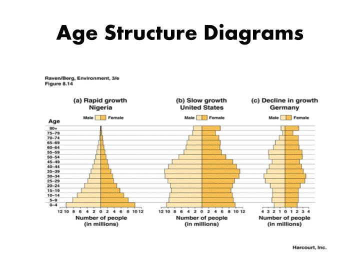 Understanding Age Structure Diagrams Population Age Structur