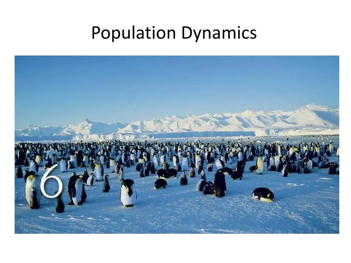 PPT - Population Dynamics PowerPoint Presentation, free download - ID ...