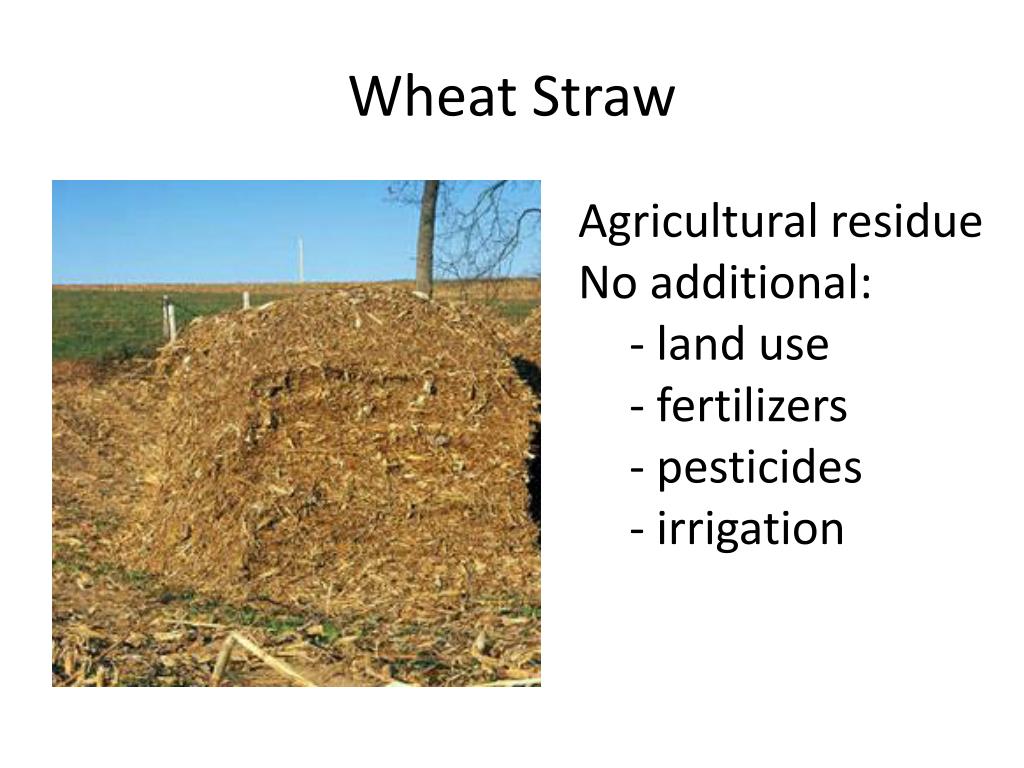 PPT - Environmental Impacts of Biofuels: Lifecycle greenhouse gas ...
