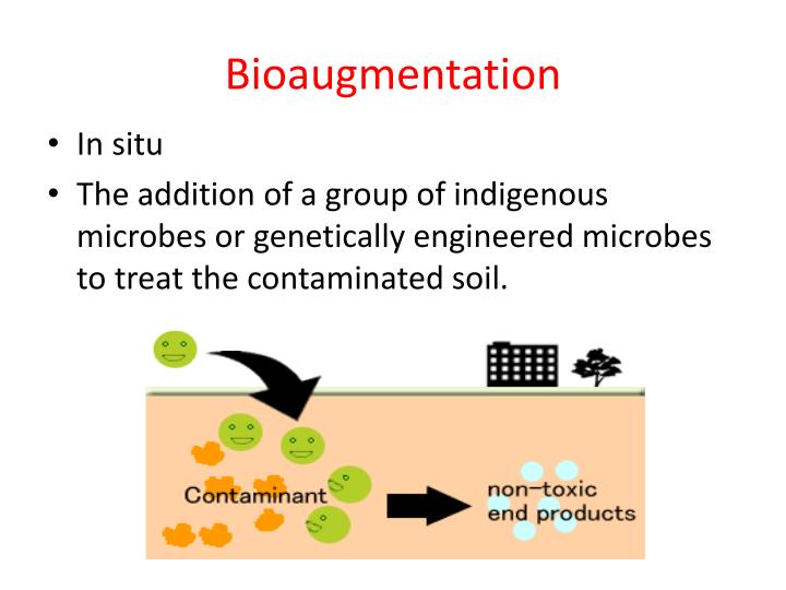 PPT - Biological Remediation of Land and Water PowerPoint Presentation ...
