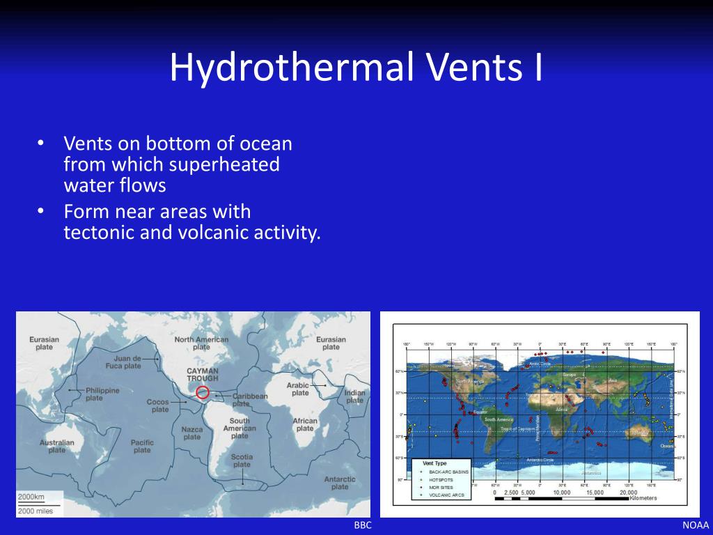 PPT - Hydrothermal Vents I: Chemoautotrophs PowerPoint Presentation ...