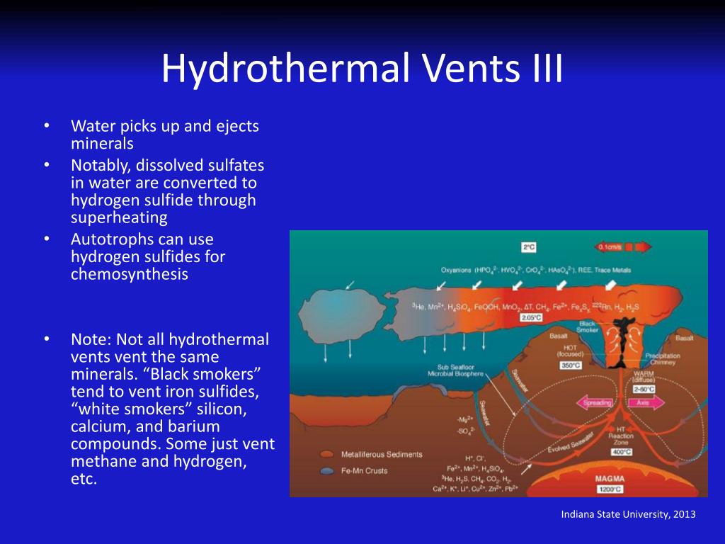 PPT - Hydrothermal Vents I: Chemoautotrophs PowerPoint Presentation ...