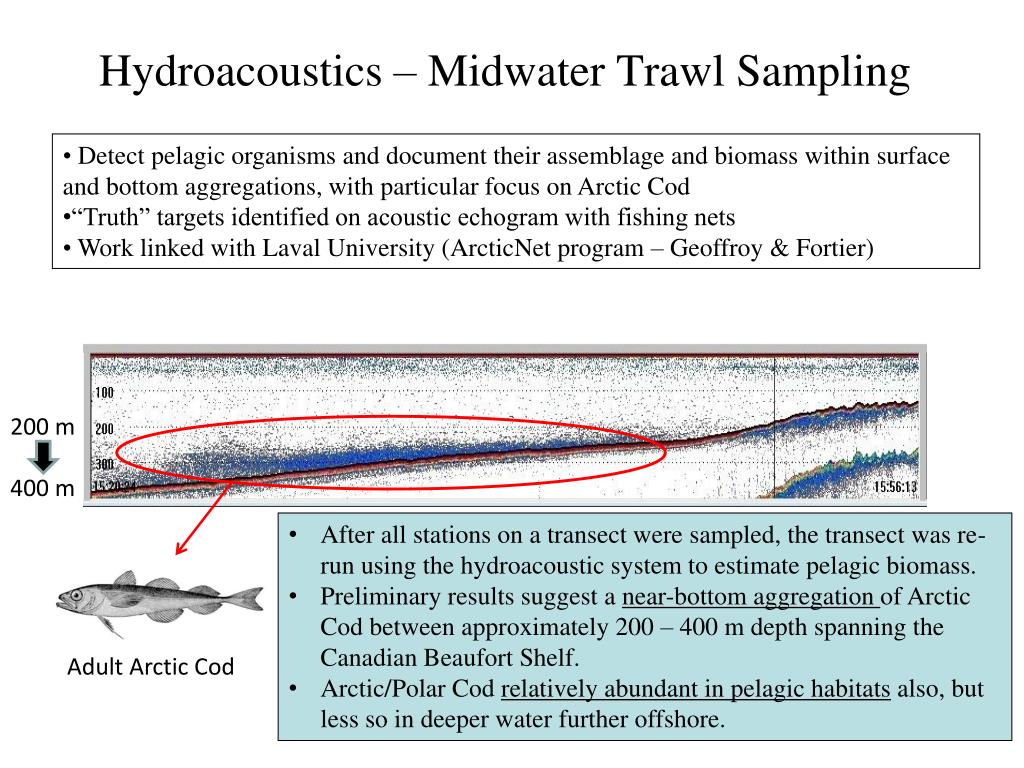 PPT - Beaufort Regional Environmental Assessment Marine Fishing Program ...