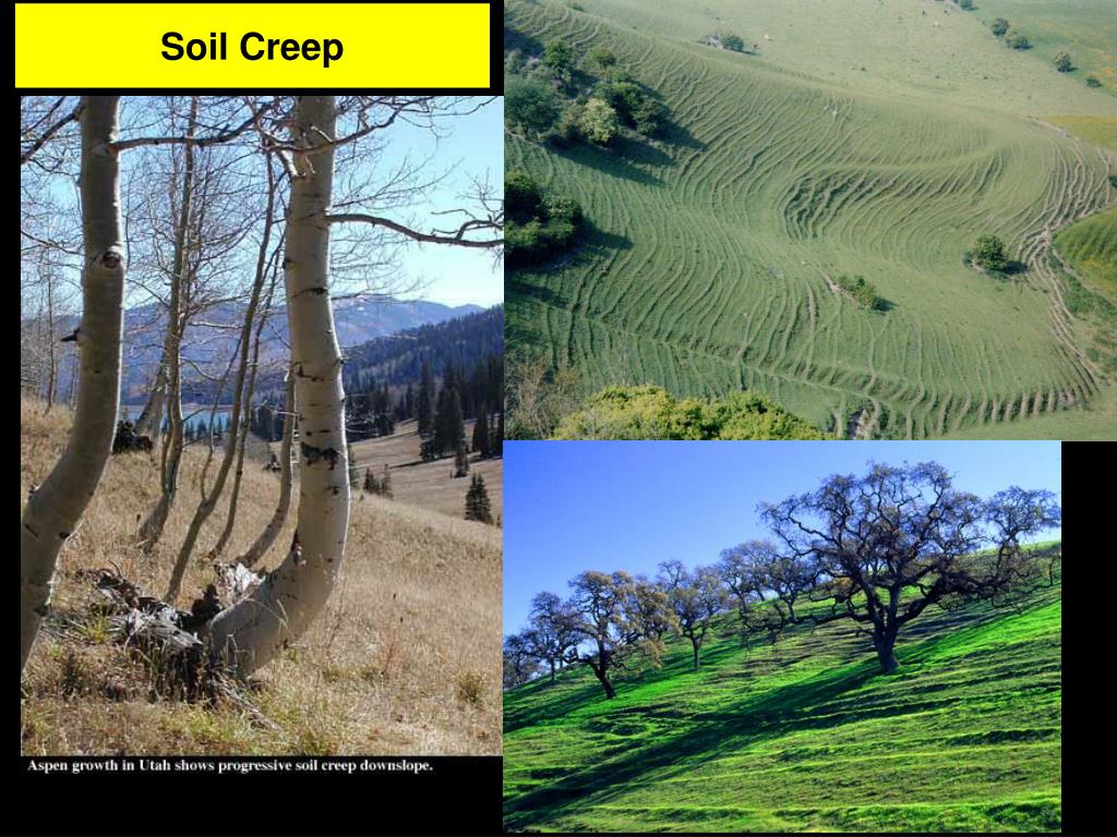 PPT - Natural Hazards and Disasters Chapter 8 Landslides and Other ...