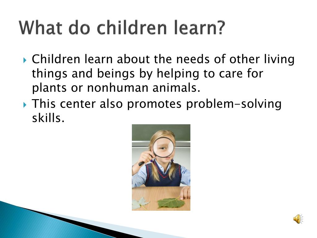 PPT - Learning Centers in an Early Childhood Special Education ...
