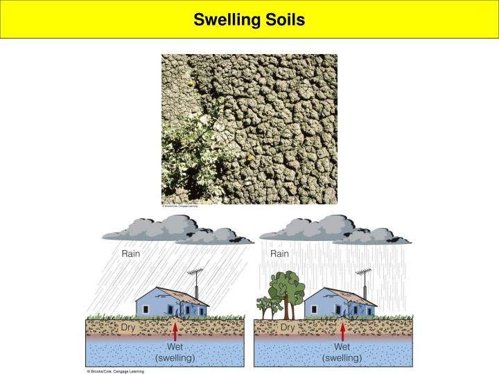 PPT - Natural Hazards and Disasters Chapter 9 Sinkholes, Land ...
