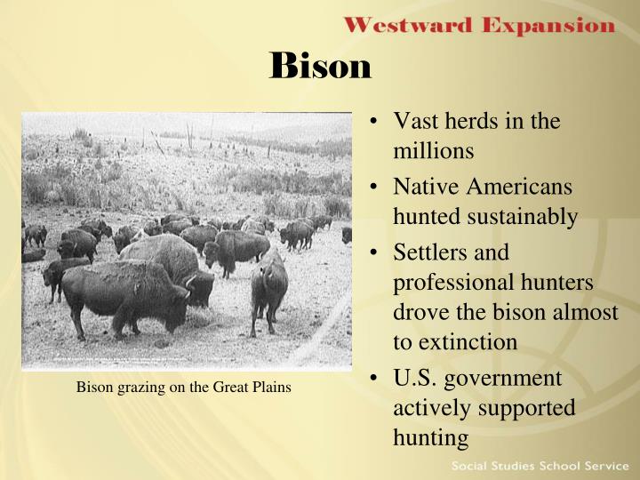 PPT - Westward Expansion PowerPoint Presentation - ID:1541101