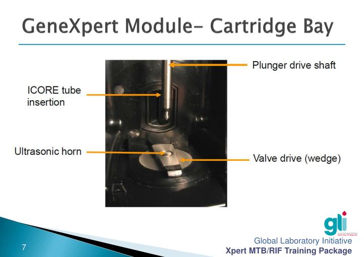 PPT - Module 6: GeneXpert Technology and Xpert MTB/RIF Procedures ...