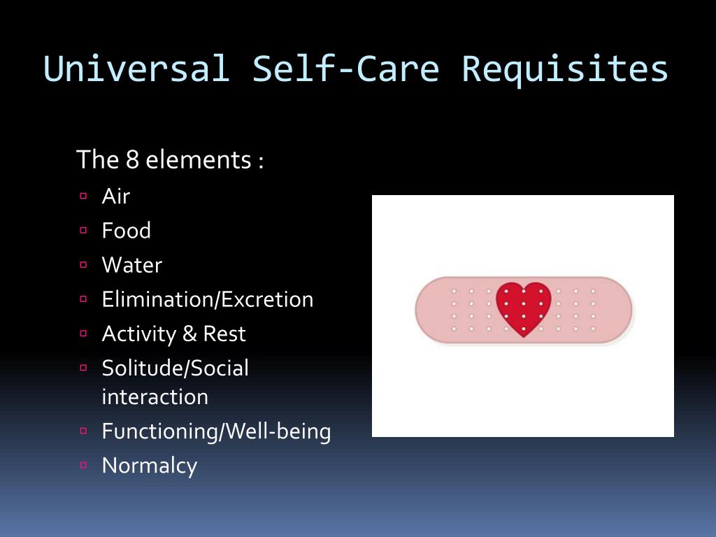 PPT - Presented by Melissa Kurek , Nicholas Kurek , Kimberly Marino and Heather Nowak Dorothea ...