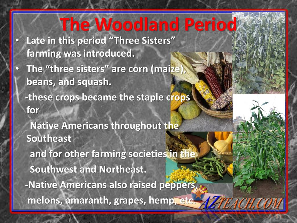 PPT - Prehistoric Cultures of the North American Continent PowerPoint ...