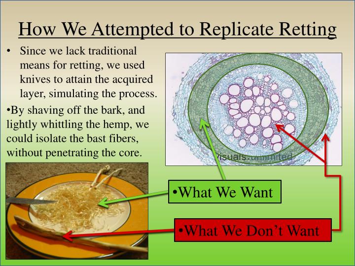 PPT - Hemp Crete PowerPoint Presentation - ID:1542551