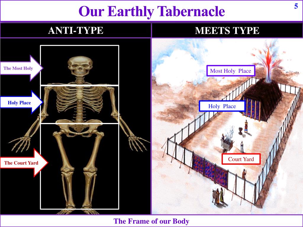 PPT - The Sanctuary of our Body THE THIRD TEMPLE Series 3 The Skeleton ...
