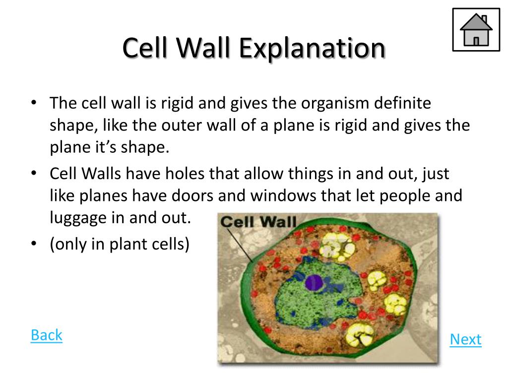 PPT - By: Austin Vorisek Sherry Tanious Kevin Sun Kimberly Peng ...