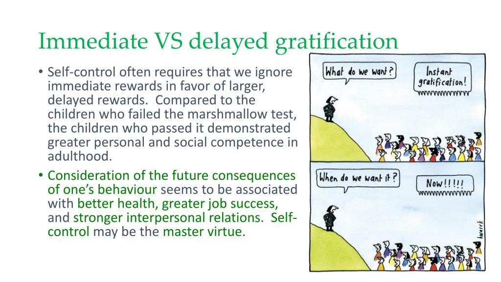 PPT - Chocolate Peanut Toilet Cheese Leaf Banana Dinosaur Lighter ...