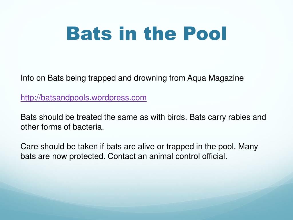 PPT - Or… Dead Frogs Tell No Tales Matt Giovanisci Swim University ...