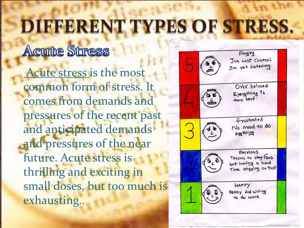 Ppt Understanding And Managing Stress Powerpoint Presentation Free