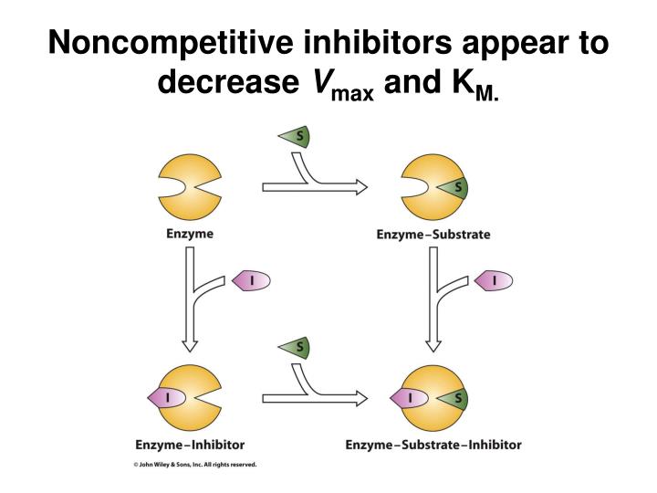 PPT - Lecture Notes for Chapter 7 Enzyme Kinetics and Inhibition ...
