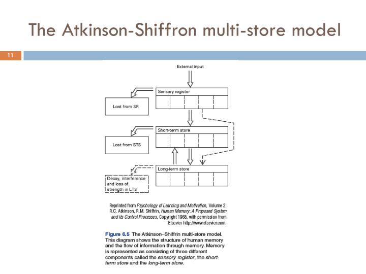 PPT - Chapter 6 - Memory PowerPoint Presentation - ID:1548117