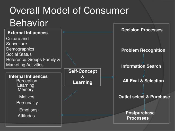 🎉 Internal and external influences on consumer behavior. Consumer ...