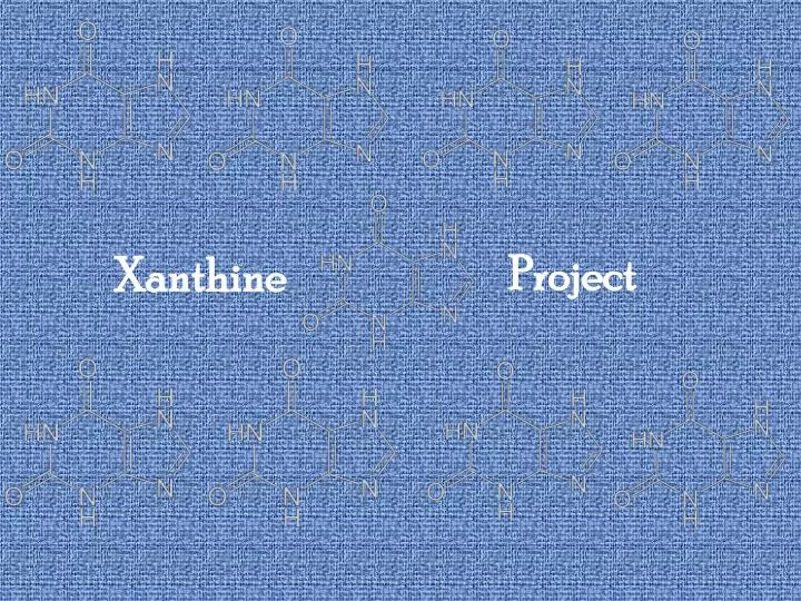 PPT - Xanthine PowerPoint Presentation, free download - ID:1549863
