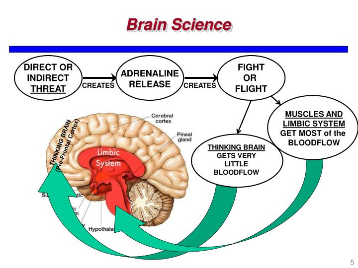 PPT - The Cycle of Anger How can I keep my anger under control ...