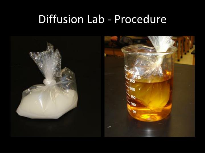 PPT - Passive Transport PowerPoint Presentation - ID:1550807