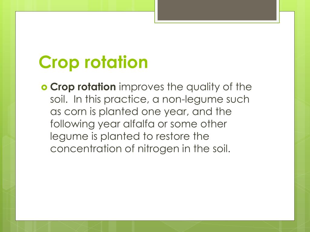 PPT - Plant Biology PowerPoint Presentation, free download - ID:1551228