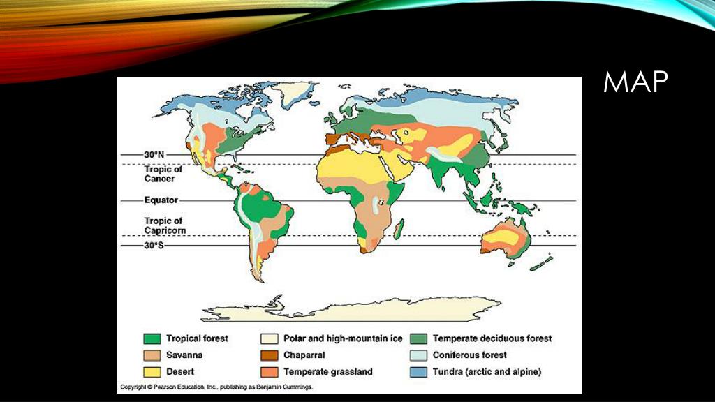 PPT - The Rainforest Biome Tropical Madagascar Rainforest PowerPoint ...