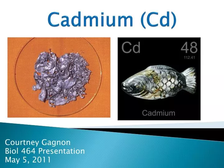 PPT - Cadmium ( Cd ) PowerPoint Presentation, free download - ID:1551745