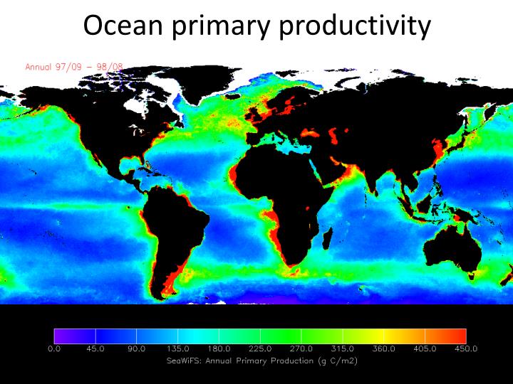 PPT - Algae Culture PowerPoint Presentation - ID:1552228
