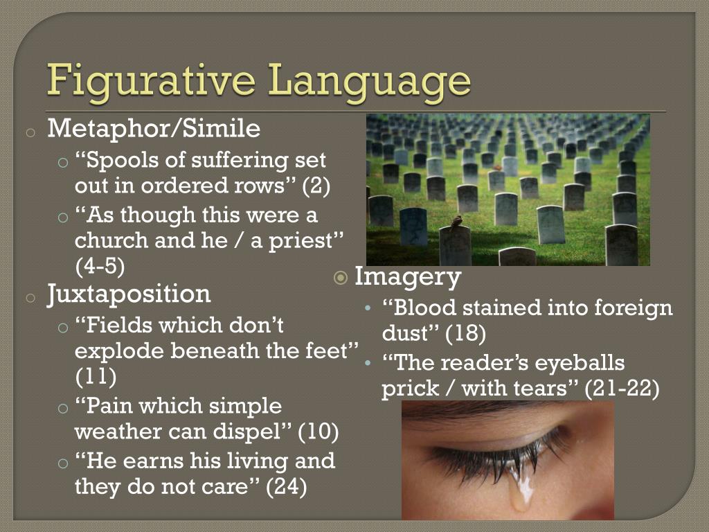 PPT - War Photographer Carol Ann Duffy PowerPoint Presentation, free ...