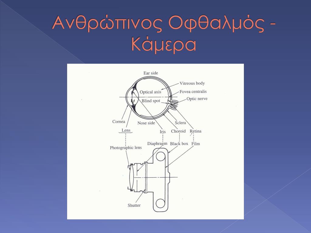 PPT - ΣΤΕΡΕΟΣΚΟΠΙΚΗ ΦΩΤΟΓΡΑΦΙΑ PowerPoint Presentation - ID:1553097