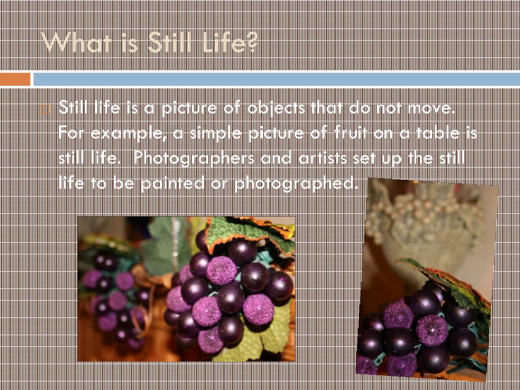PPT - Creative Still Life Photography Exploration for 3rd Grade ...