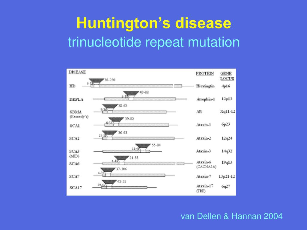 PPT - Neurogenetic disorders: Huntington’s Disease + PowerPoint ...