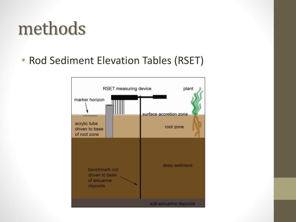 PPT - Sedimentary responses to active growth-faulting in coastal ...